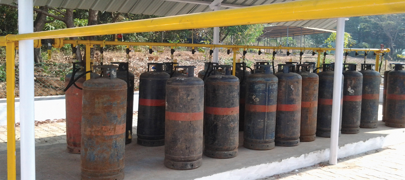 ALPINE ENERGY LIMITED